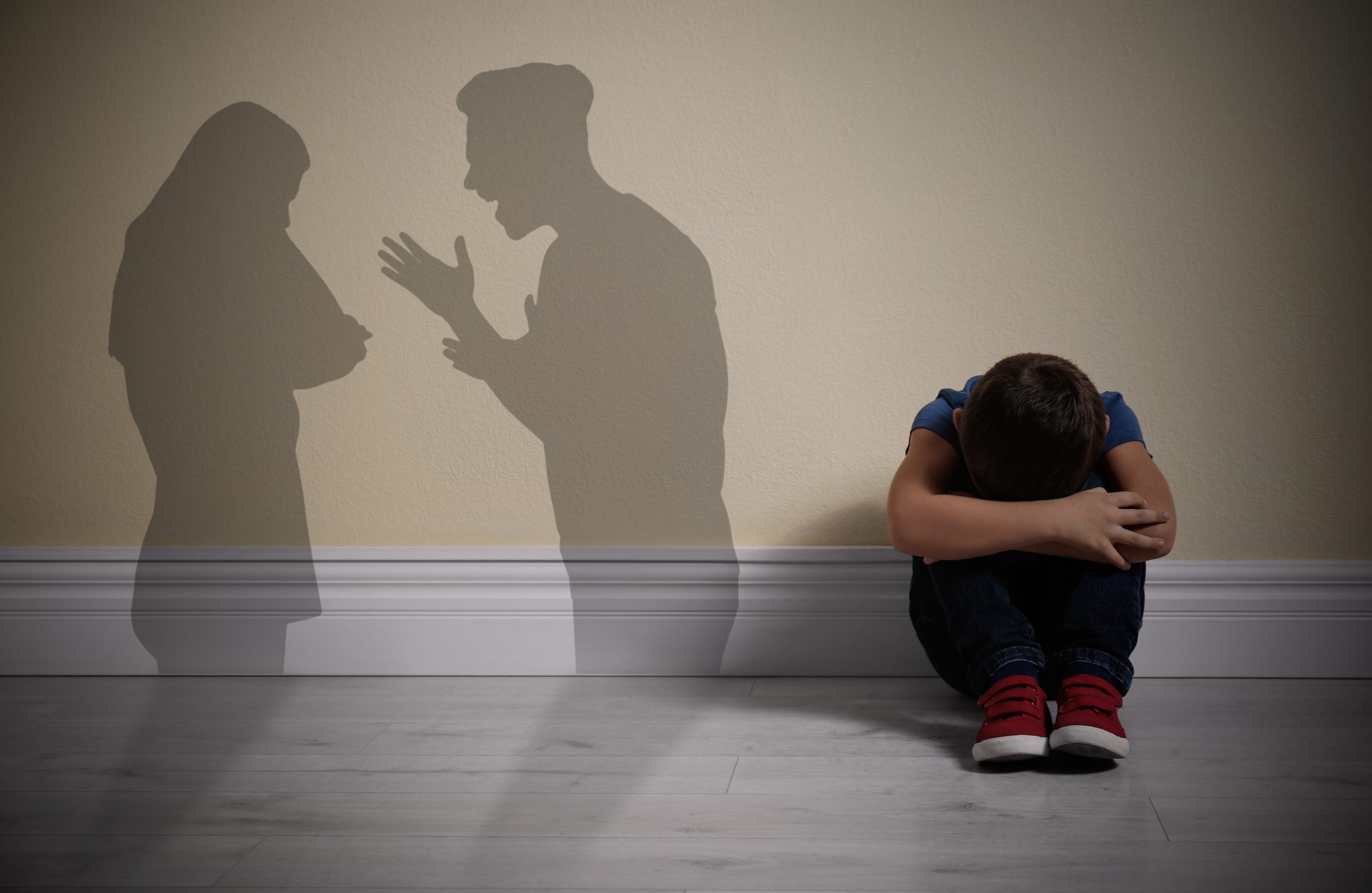 Domestic Abuse as a Learned Behaviour: Breaking the Cycle - Severn ...